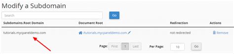 How To Create And Manage Subdomains In Cpanel