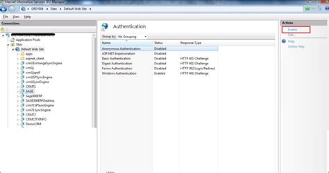 Sage CRM And IIS Authentication Settings Sage CRM Tips Tricks And Components