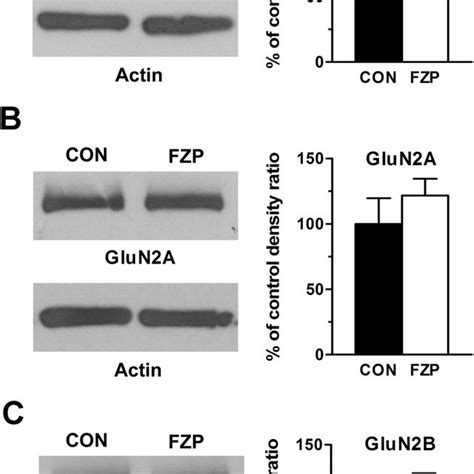 Nmdar Subunit Expression Levels In Psd Enriched Subfractions Were Download Scientific Diagram