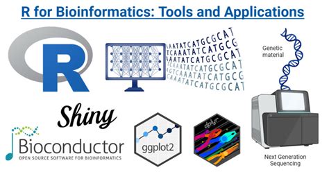 R For Bioinformatics Tools Applications Examples