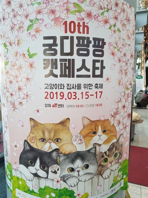 반려묘 용품 박람회 궁디팡팡 캣페스타 후기 양재at센터 주차 팁 네이버 블로그