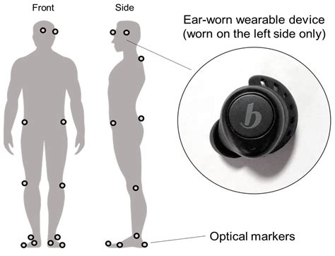 Validation Of An Ear Worn Wearable Gait Analysis Device