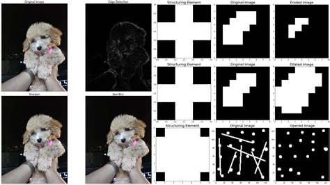 Introduction To Image Processing With Python By Erika Lacson Jun