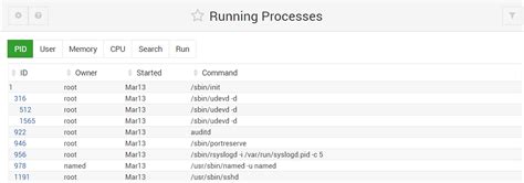 Virtualmin에서 실행중인 프로세스를 보는 방법 Hostwinds