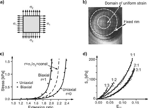 Biaxial Stress Strain Relationships A Schematic Of Biaxial Test B