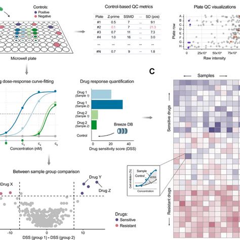 General Workflow Of Breeze 20 Web Application A Breeze Data Download Scientific Diagram