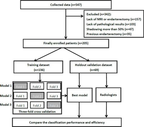 Deep Learning Based Carotid Plaque Vulnerability Classification With Multicentre Contrast