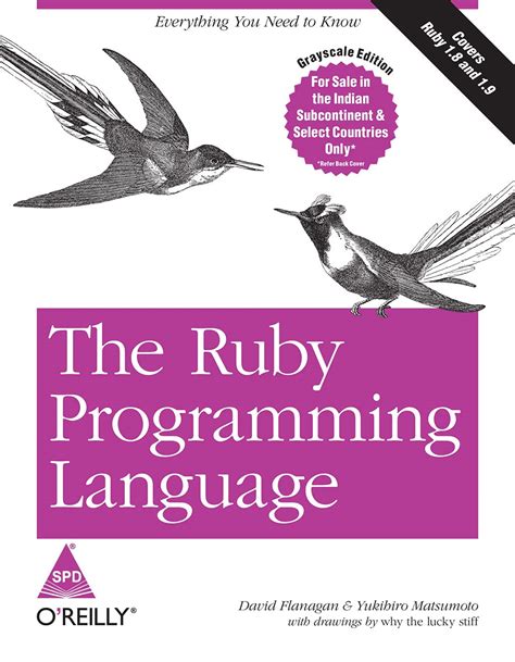 Buy The Ruby Programming Language Everything You Need To Know