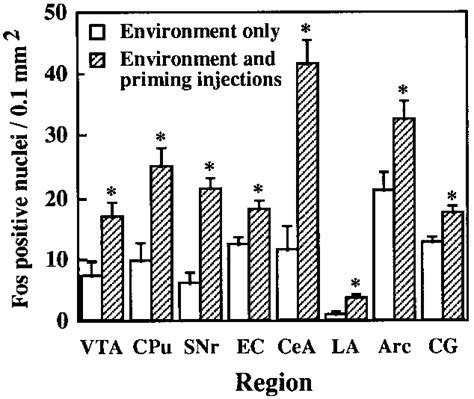 Fos Positive Nuclei 0 1 Mm 2 Sem In Brain Regions That Exhibited Download Scientific Diagram