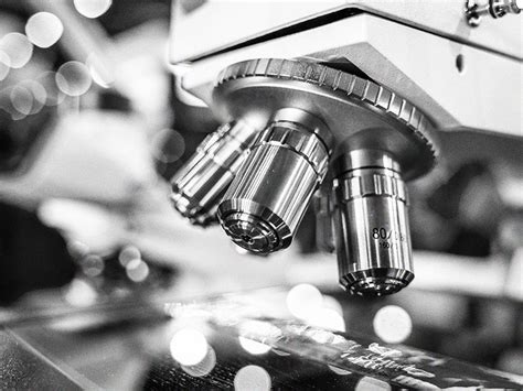 Crypt Abscess In Ulcerative Colitis What It Is Causes And More