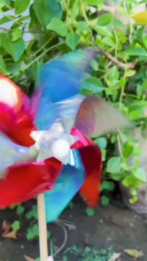 Piper Rockelle Page 13 Nymphets Sexy