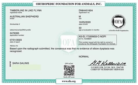 Hjs Aussies Hjs Aussies Added A New Photo