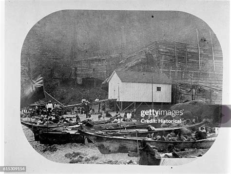 Makah Tribe Photos And Premium High Res Pictures Getty Images