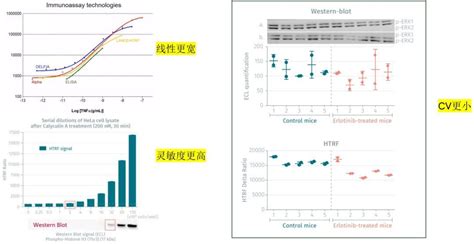 瑞孚迪 Htrf®产品：均相免洗elisa，让您的药物研发总是快人一步 知乎