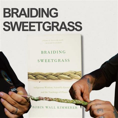 Full Circle For Indigenous Education Braiding Sweet Grass Drawing On