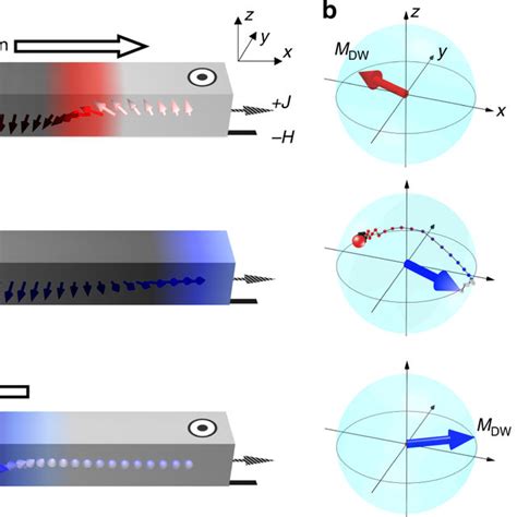 Spin Orbit Torque Driven Domain Wall Dynamics A C Estimated Domain Download Scientific Diagram