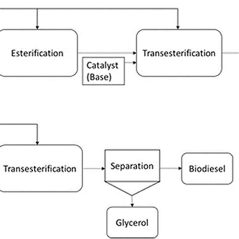 Pdf Recent Advances In Transesterification For Sustainable Biodiesel