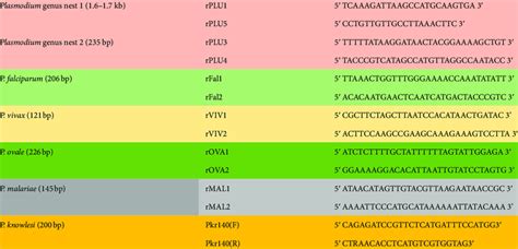 Primer Sequences Used For Malaria Detection Target Gene Ssu 18s Rrna Download Scientific