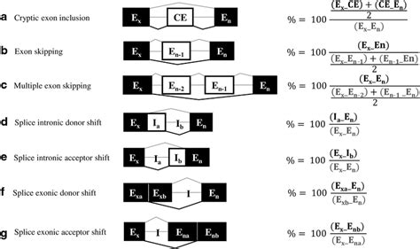 Splicing Junctions And Calculation Of The Percentage Of Junction Reads
