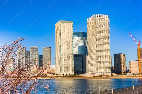 豊洲公園より晴海ビル群を望む Stock 写真 Adobe Stock