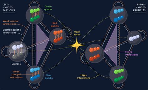 Diagramme De Particules Quantiques Diagramme De Particules Quantiques