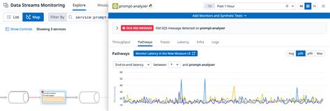 Data Streams Monitoring