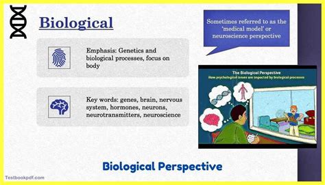 All Psychological Perspectives Theory Examples Images Pdf