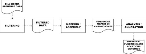 Bioinformatics Workflow Composed Of Three Phases Download Scientific