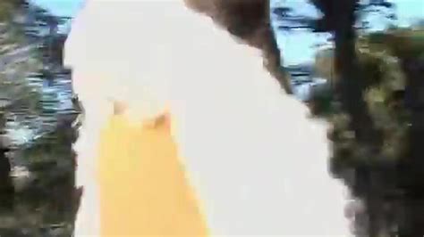 Asian Gal Has Her Panties Pulled Down During Skirt Sharking Autumn Day Autumn Daye TNAFlix