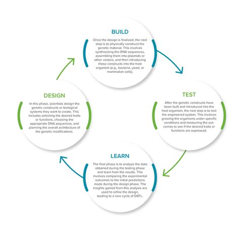 Dbtl Approach In Synthetic Biology Molecular Devices