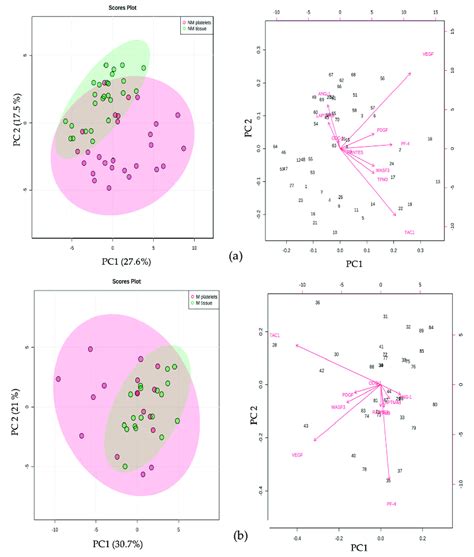 Increased Expression Of Metastasis Related Genes In Platelets And Download Scientific Diagram