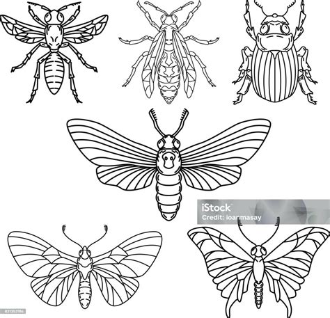 딱정벌레 그림 흰색 배경에 고립의 집합입니다 레이블 상징 기호에 대 한 디자인 요소입니다 벡터 일러스트 레이 션 고풍스런에 대한 스톡 벡터 아트 및 기타 이미지 Istock