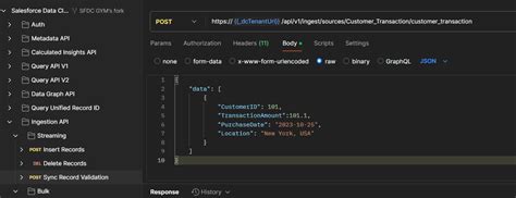 How To Use Data Cloud Ingestion Apis Using Postman