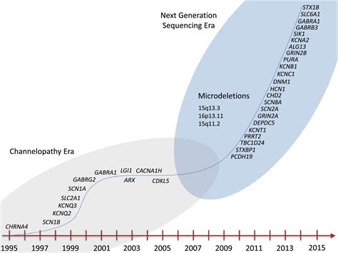 Primer Part 1—the Building Blocks Of Epilepsy Genetics Helbig 2016