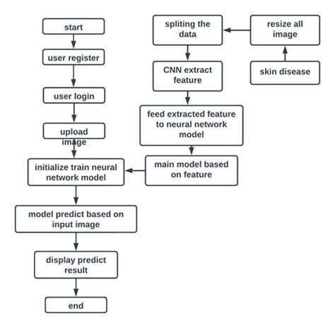 Skin Disease Classification Projectwale