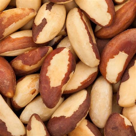 Shop Brazil Nuts In Uae Dubai Sharjah Ajman Abu Dhabi
