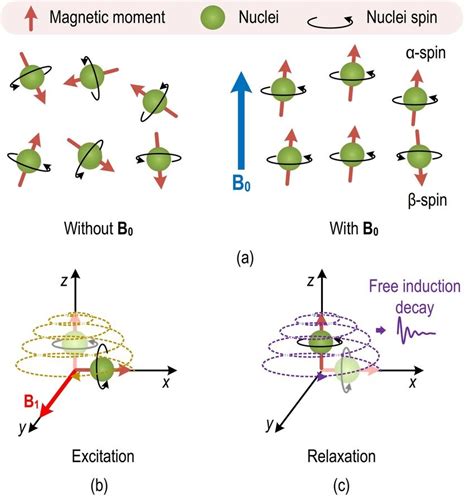 Nmr Spectrometer For High Throughput Research Creative Biostructure