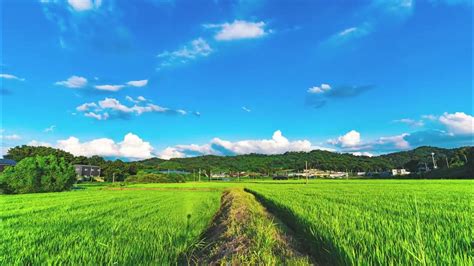 4k 무료영상 타임랩스 무더운 날씨의 풍경 Youtube