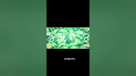 Thoughts On Fusion Bugs Youtube