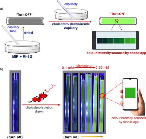 A Schematic Representation Of Construction Of Capillary Based