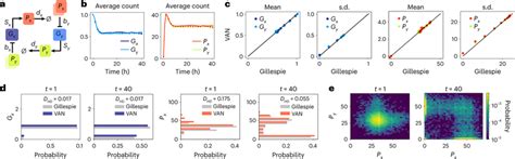 The Result Of The Genetic Toggle Switch A Schematic Of The Reactions
