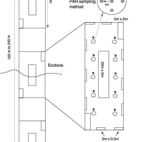 Diagram Of Transect Plot Layout And Methods Download Scientific Diagram