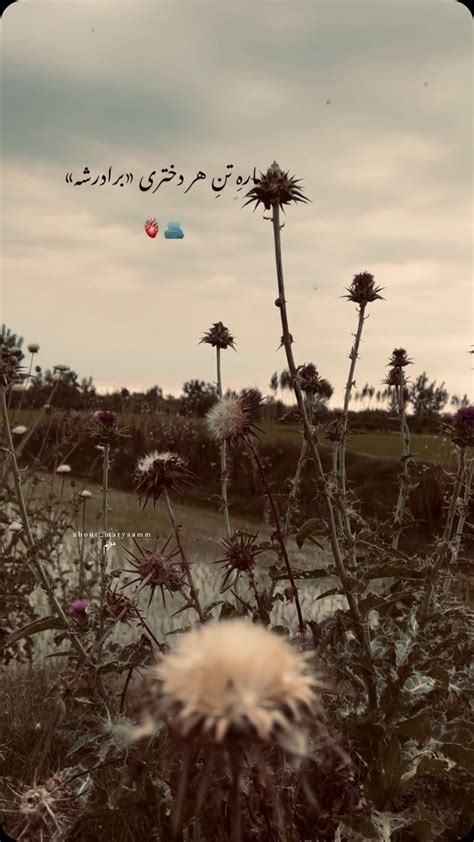 ‎مریم ذبیحی Maryam Zabihi‎ ‎برادرم😍🫂🥹 برادر داداشی داداش برار