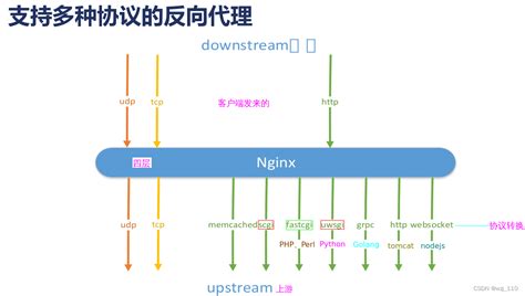 Nginx五十五nginx的反向代理和负载均衡原理 Csdn博客