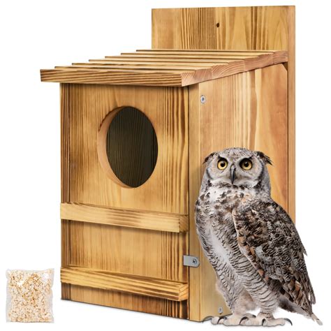 Owl Bird House Building A Screech Owl Birdhouse Michaels Woodcrafts