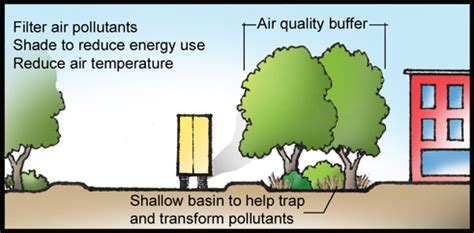 Planting Trees Air Pollution