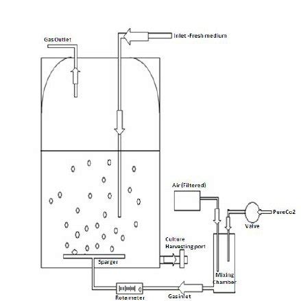 Schematic Diagram Of Lab Scale L Photo Bioreactor Download Scientific Diagram