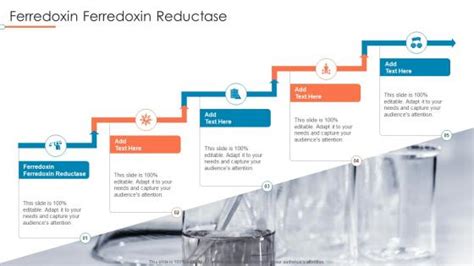 Ferredoxin Reductase PowerPoint Presentation And Slides PPT Example SlideTeam