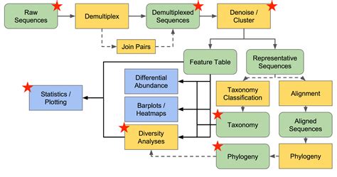 course wrap up microbiome analysis with qiime2