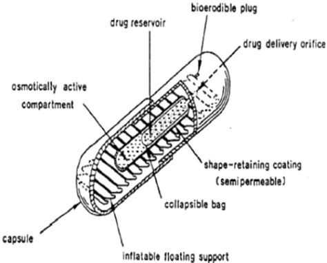 Osmotic Controlled Drug Delivery System Download Scientific Diagram
